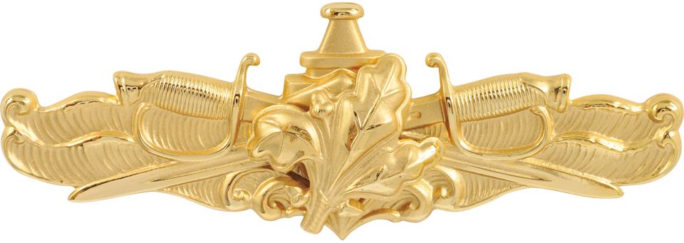 Surface Warfare Officer Pin