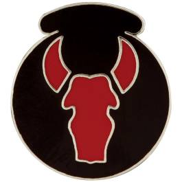34th Division Enamel Pin