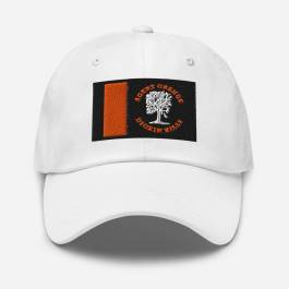 Agent Orange Dioxin Kills Classic Dad Hat