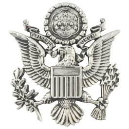 Air Force Hat Badge