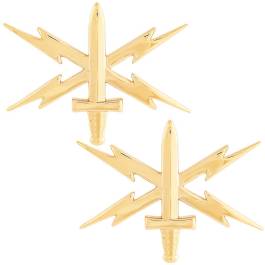 Army Cyber Warfare Officer Insignia Pair