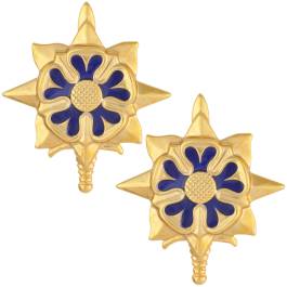 Army Military Intel Officer Insignia
