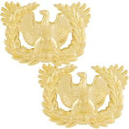US Army Warrant Officer Insignia