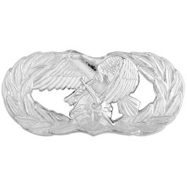 AF LOGISTICS READINESS BADGE