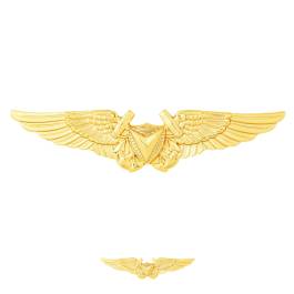 Marine Corps Unmanned Aircraft Systems Officer Badge | USMC UAS Officer ...