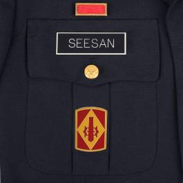 75th Fires Brigade CSIB