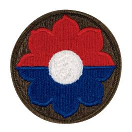 9th Division Patch