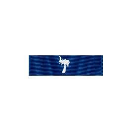 SC Palmetto Service Ribbon
