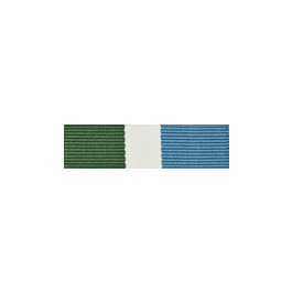 ID Recruiting Ribbon