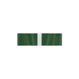 WA National Guard Service Ribbon