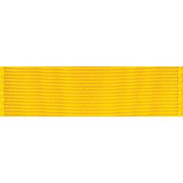 AZ Exceptionally Long Service Medal