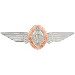 Army German Jump Wings Badge Bronze Regulation Size | German ...