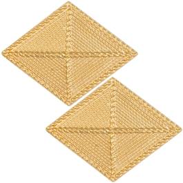 Army Finance Corps Officer