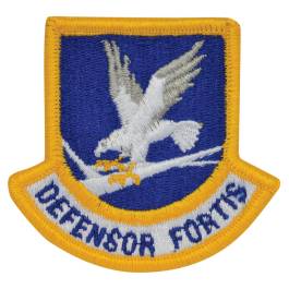 Air Force Flash Security Forces Enlisted Patch