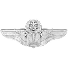 U.S. Air Force Unmanned Aircraft Systems Master Regular Size Badge