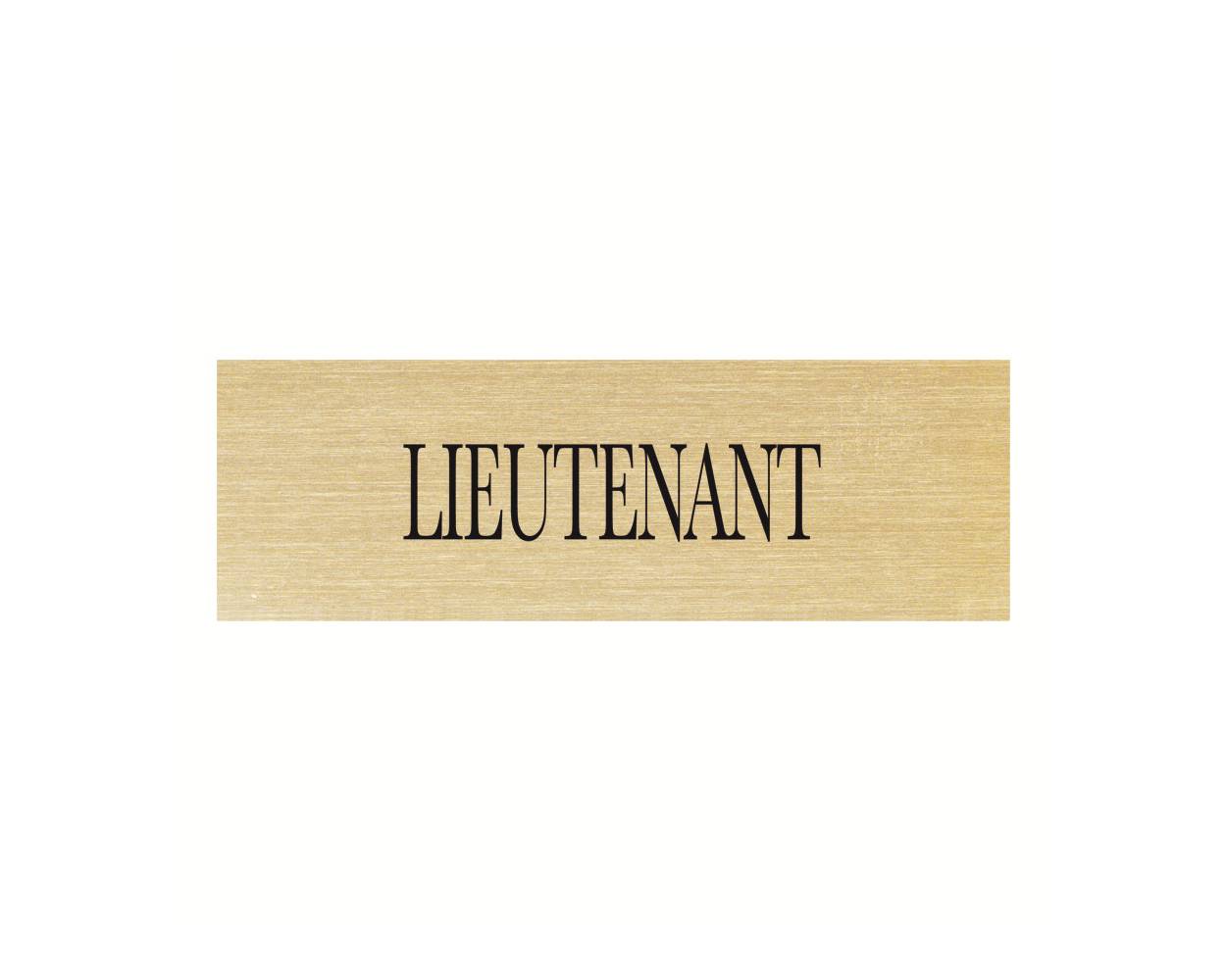 USN Lt Rank ID Plate