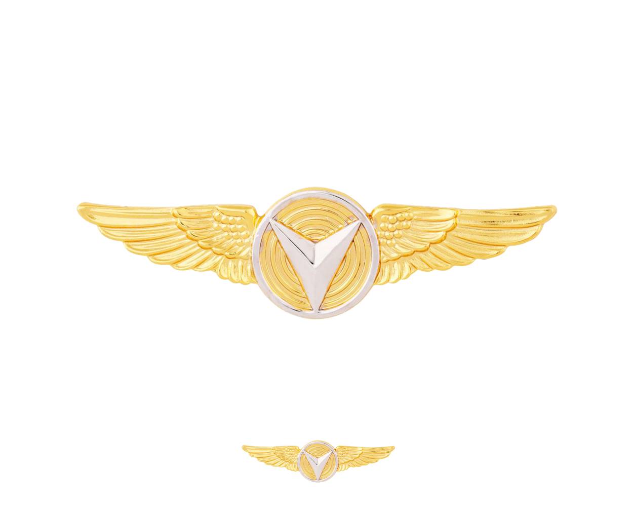 Marine Corps Unmanned Aircraft Systems Badge | USMC UAS Enlisted ...