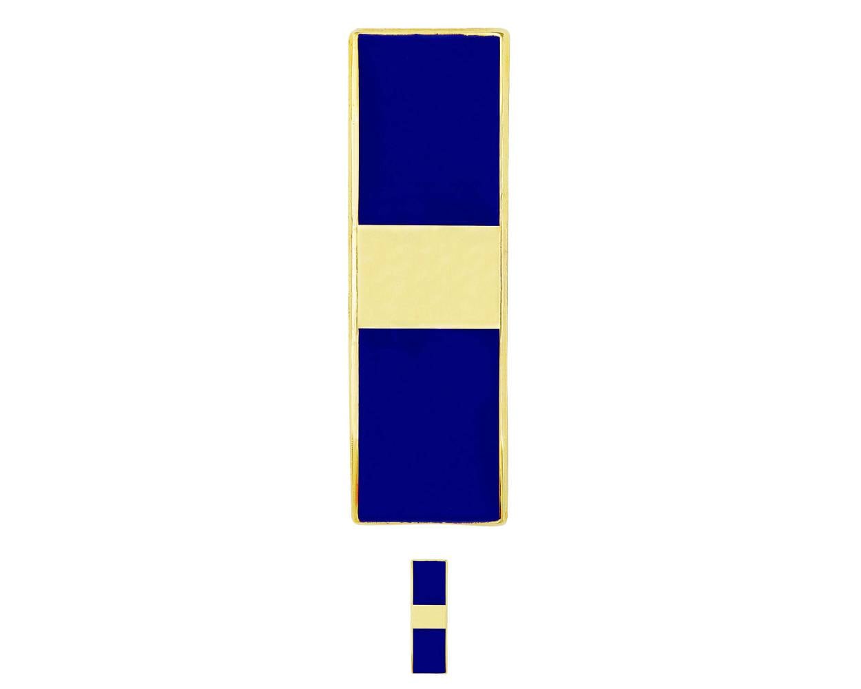 Navy Warrant Officer 1 (WO1) Rank Insignia – Gold-on-Blue Full, Mini ...