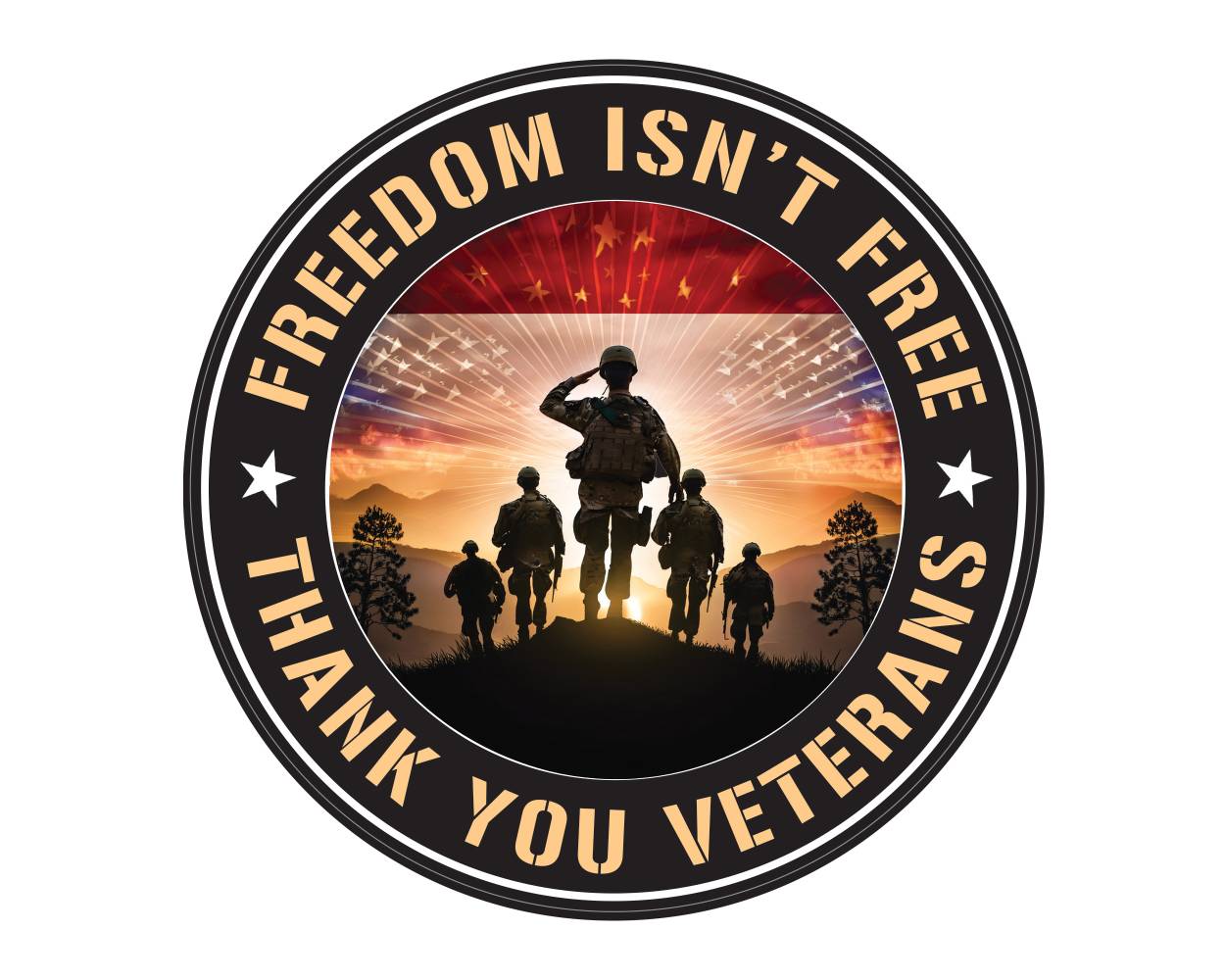 Thank You Veterans - Freedom Isn't Free Decal
