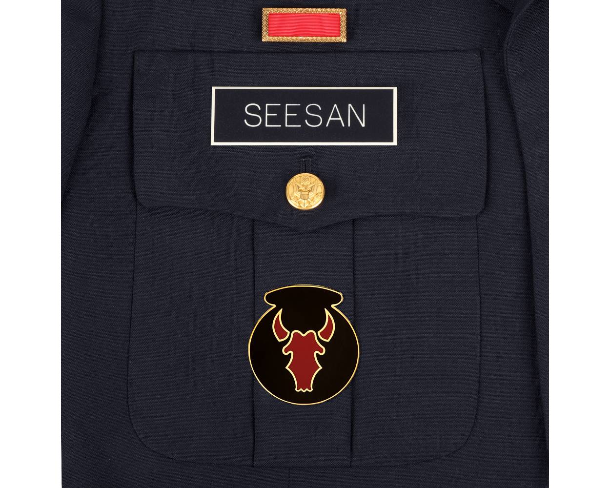 34th Infantry Division Army CSIB