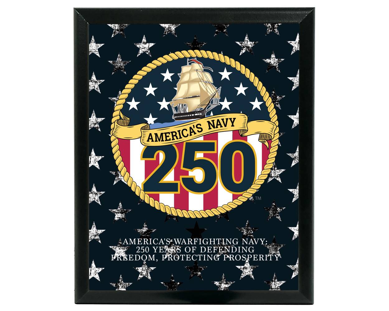 USA MADE 9x12" United States Navy 250th Plaque