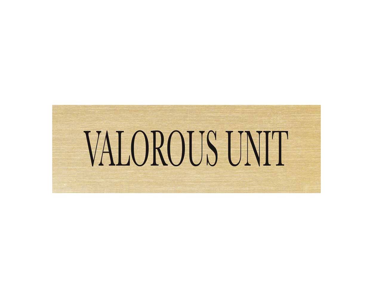 Army Valorous Unit Citation Ribbon ID Plate
