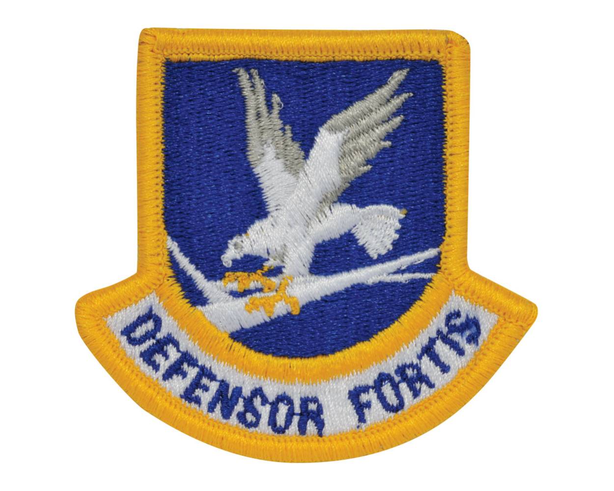 Air Force Flash Security Forces Enlisted Patch