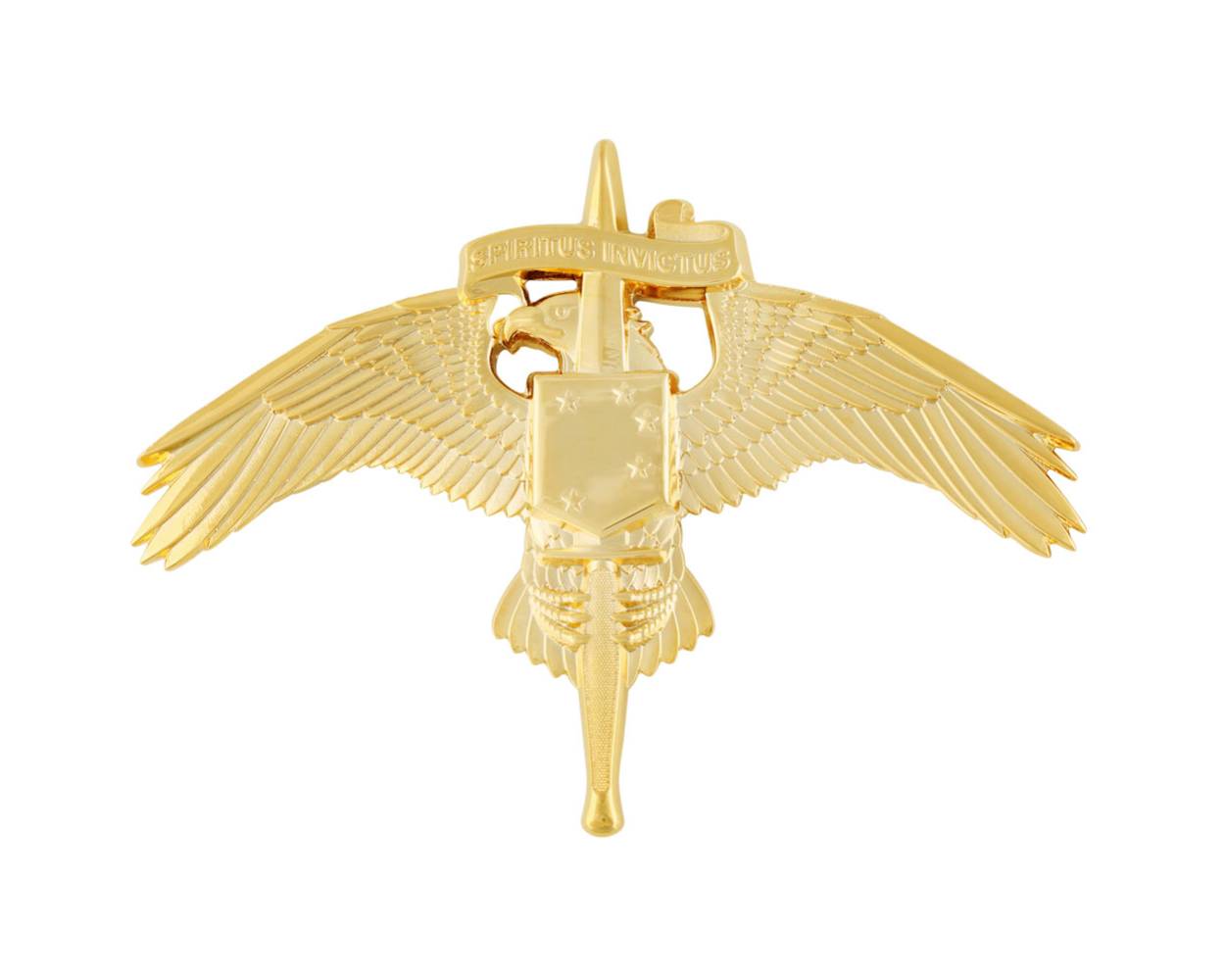 Marine Corps Forces Special Operations Command (MARSOC) Badge ...