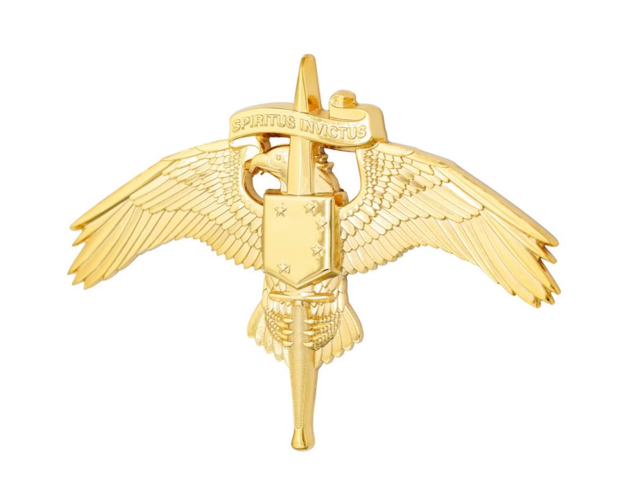 Marine Corps Special Operations Command Logo