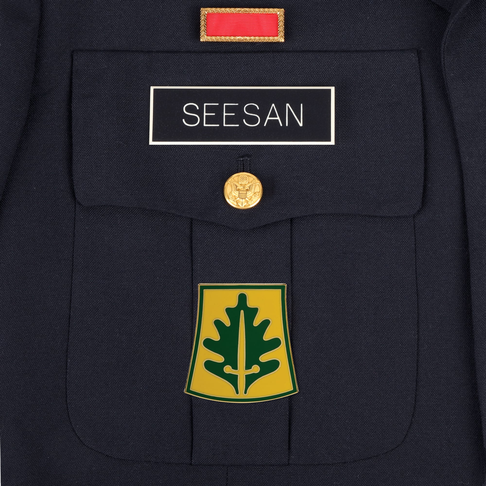 800th Military Police Brigade CSIB