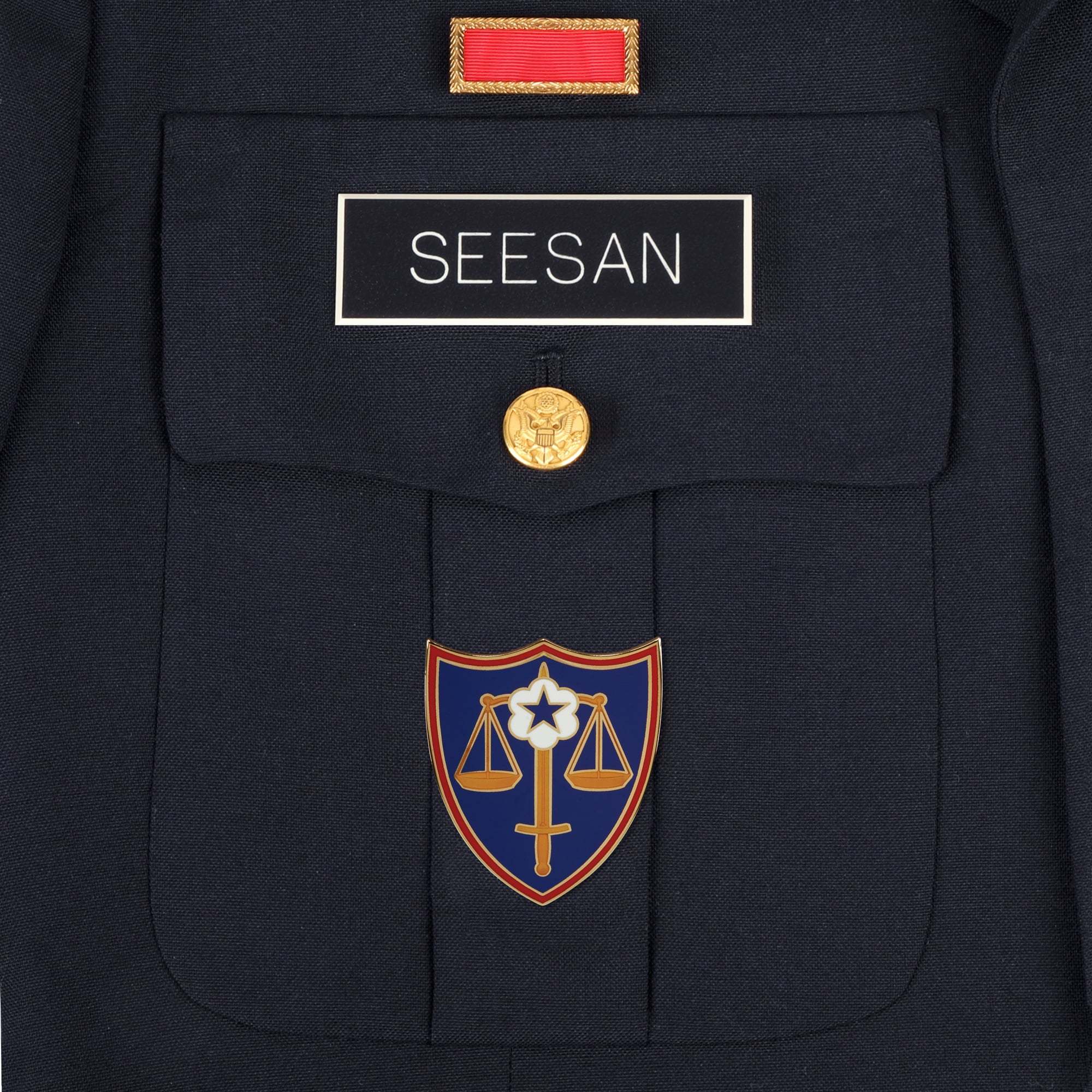 US Army Trial Defense Service CSIB