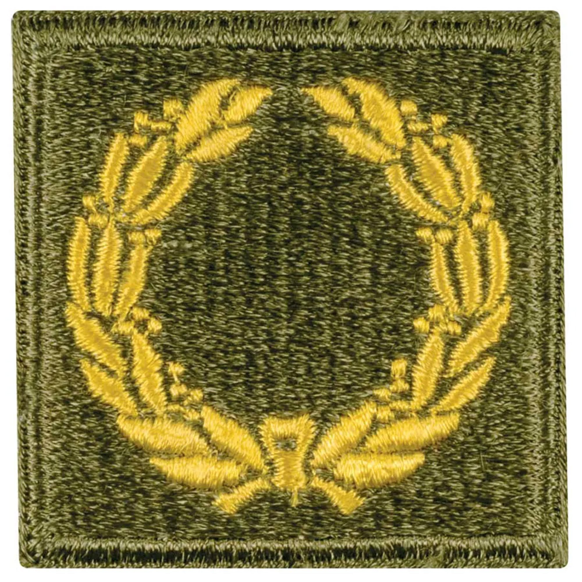 Army Meritorious Unit Award Patch