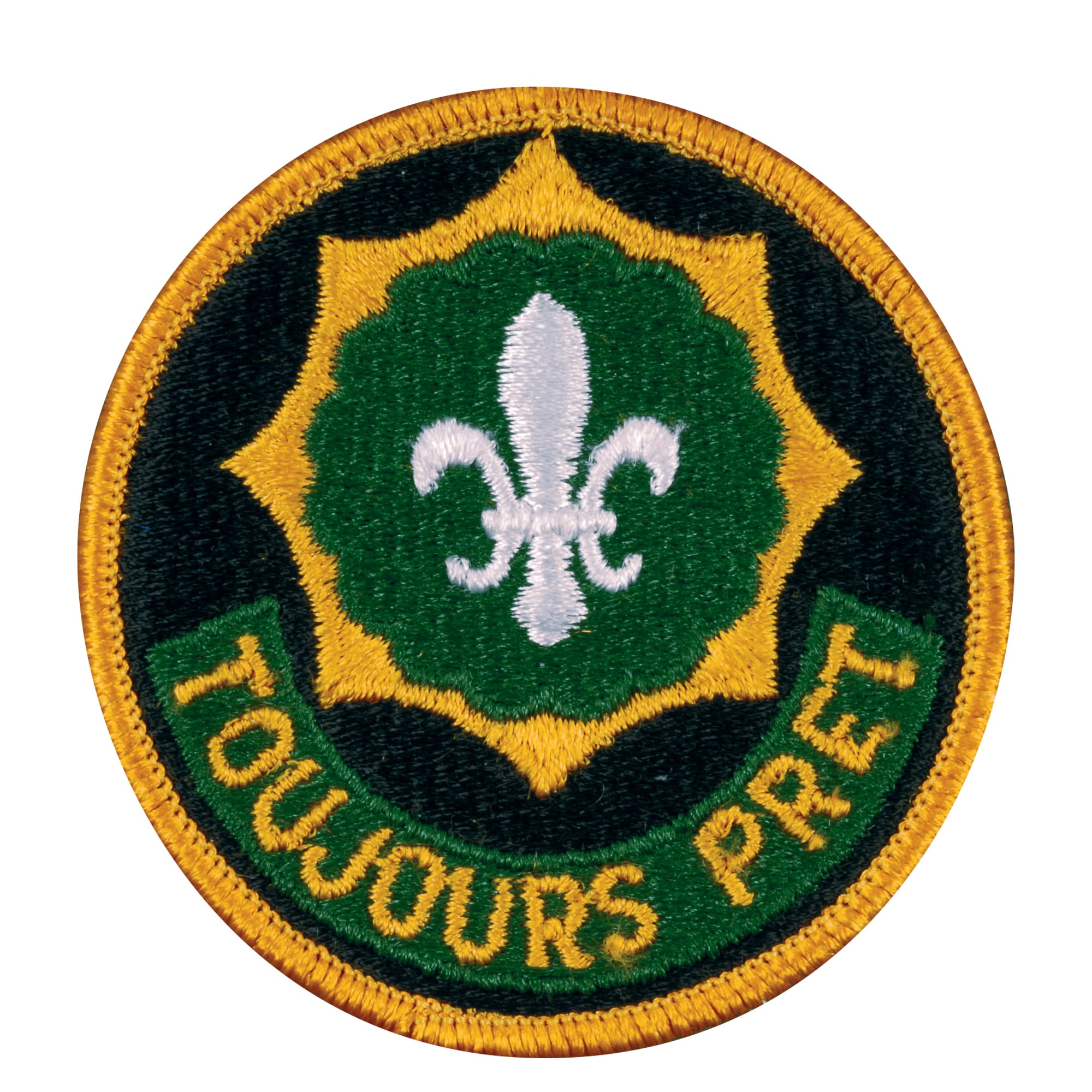 Army 2nd Armored Cavalry Regiment Patch