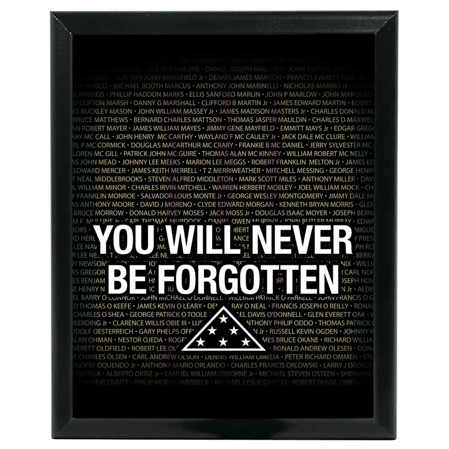 Vietnam Veteran You Will Never Be Forgotten