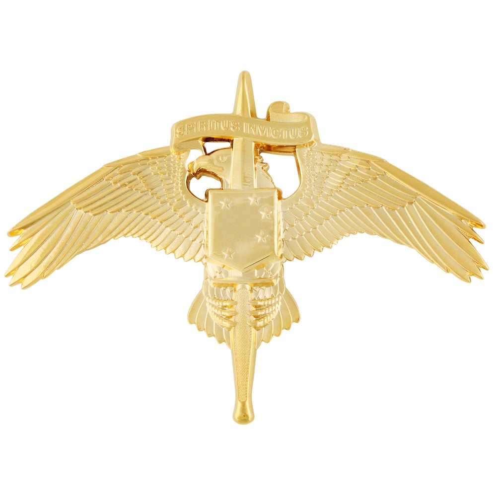 Marine Corps Forces Special Operations Command (MARSOC) Badge ...