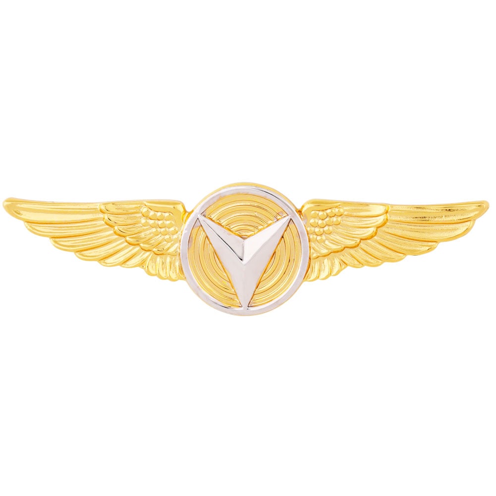 USMC Badge Regulation Size Unmanned Aircraft systems Enlisted